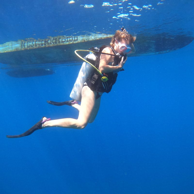 Discover Scuba Diving - No Certification Required
